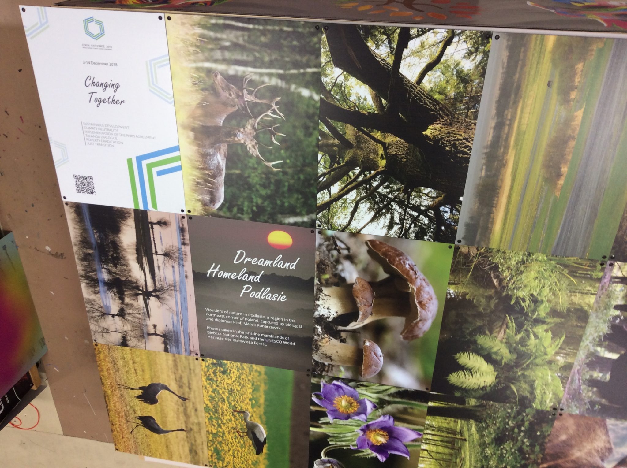 5 Best Signs and Graphics Solutions for Your Embassy in Washington, DC